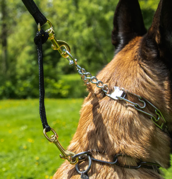 Bolt Snap Attachment Point – BeltFedKennelSupply